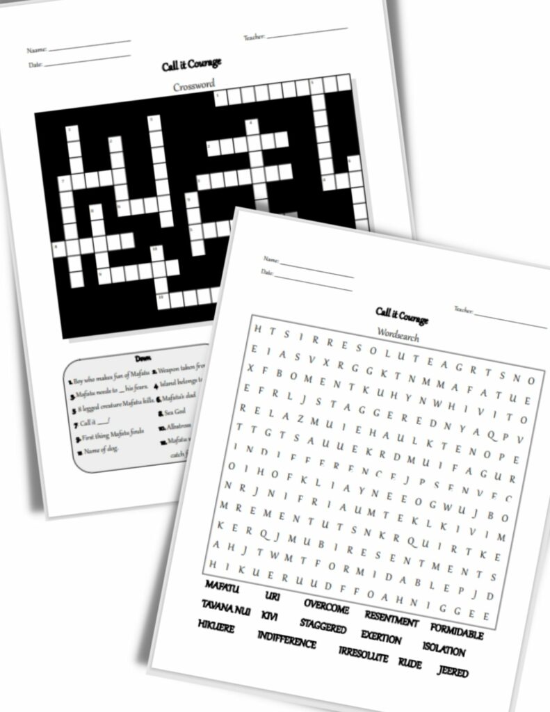 Call it Courage by Armstrong Sperry: book study | Made By Teachers