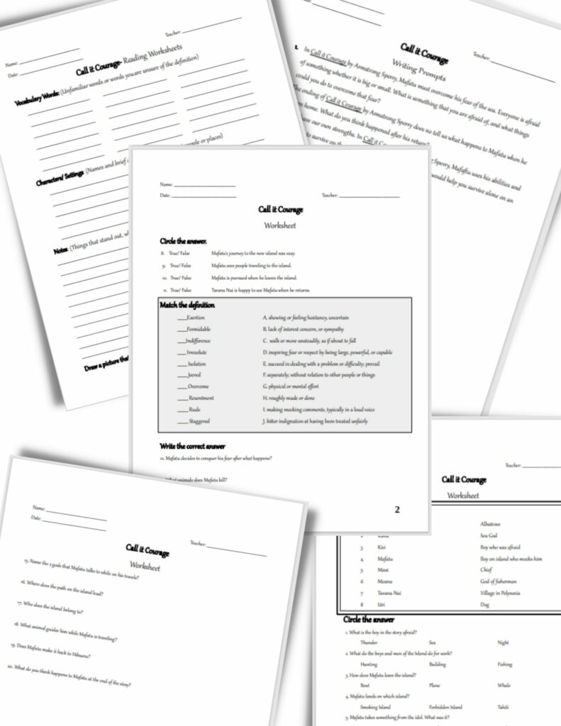 Call it Courage by Armstrong Sperry: book study | Made By Teachers