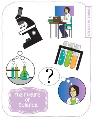 Tabbed Biology Binder Inserts Interactive Notebooks - Made By Teachers