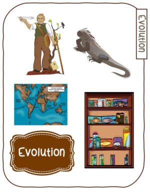 Tabbed Biology Binder Inserts Interactive Notebooks - Made By Teachers