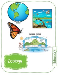 Tabbed Biology Binder Inserts Interactive Notebooks - Made By Teachers