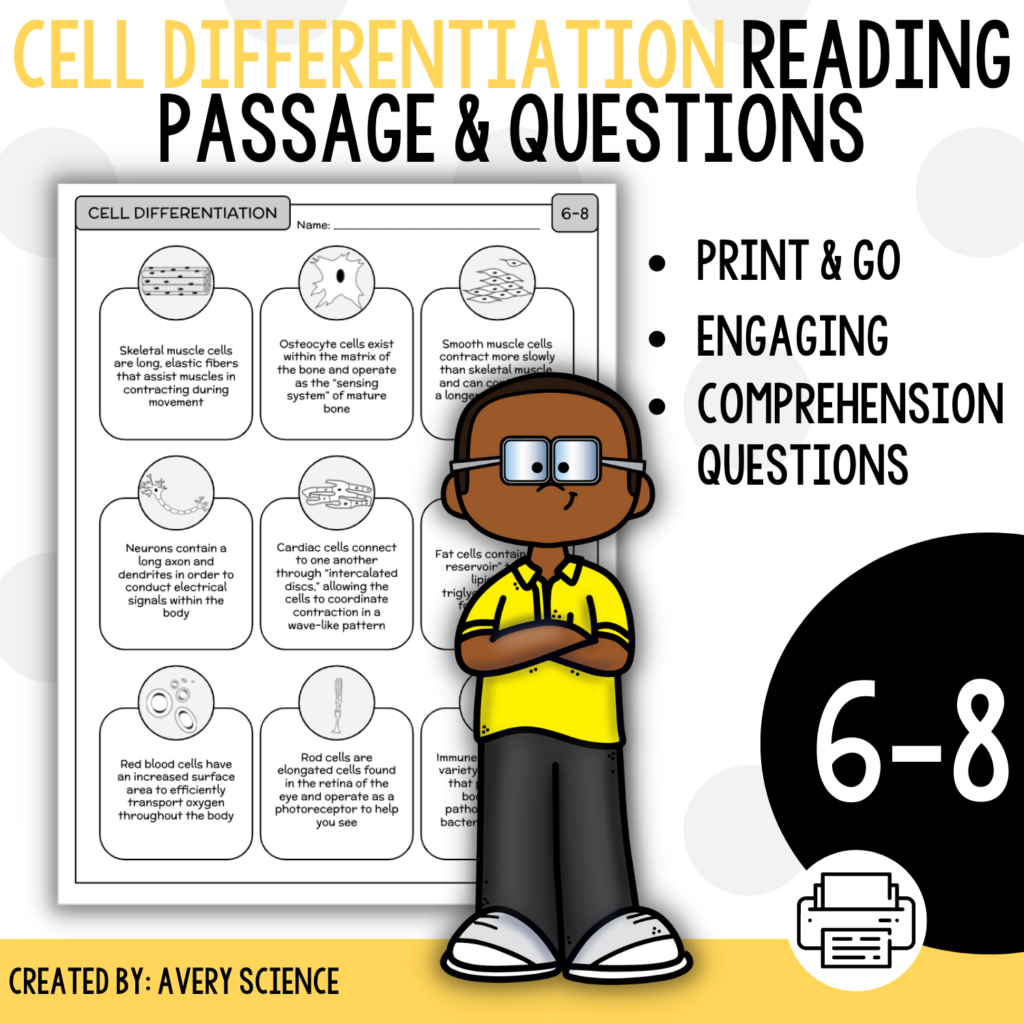 Cell Differentiation Reading Passage & Questions - Made By Teachers