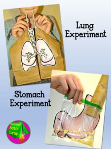 Human Body - Made By Teachers