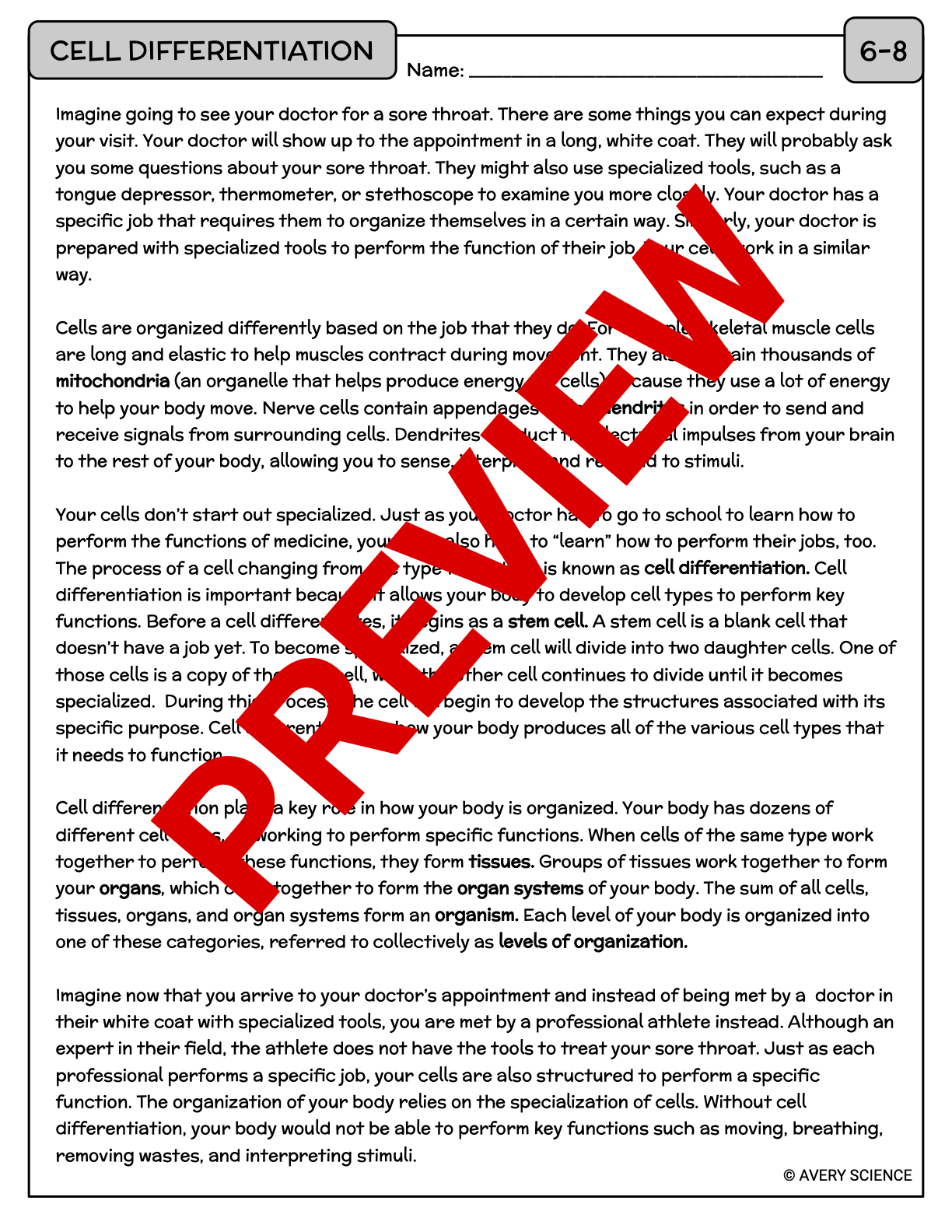 Cell Differentiation Reading Passage & Questions | Made By Teachers