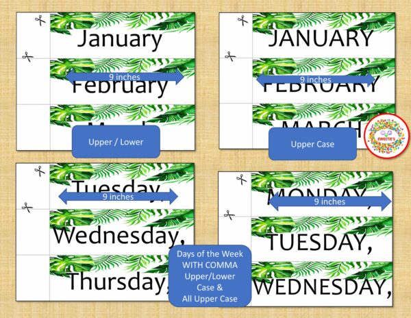 Daily Flip Calendar 2022 to 2051 Tropical Theme - Made By Teachers