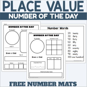 Number of the Day Pages 1-100 | Made By Teachers