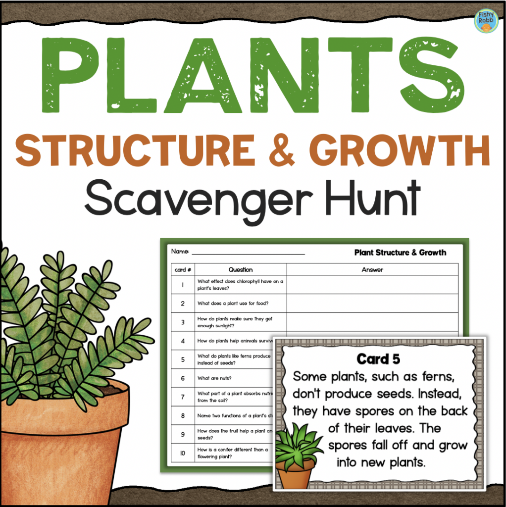 Plants & Plant Structure Activity Scavenger Hunt - Made By Teachers