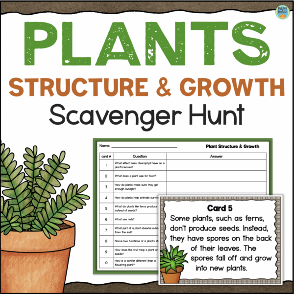 Plants & Plant Structure Activity Scavenger Hunt - Made By Teachers