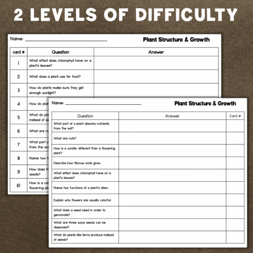 Plants & Plant Structure Activity Scavenger Hunt - Made By Teachers