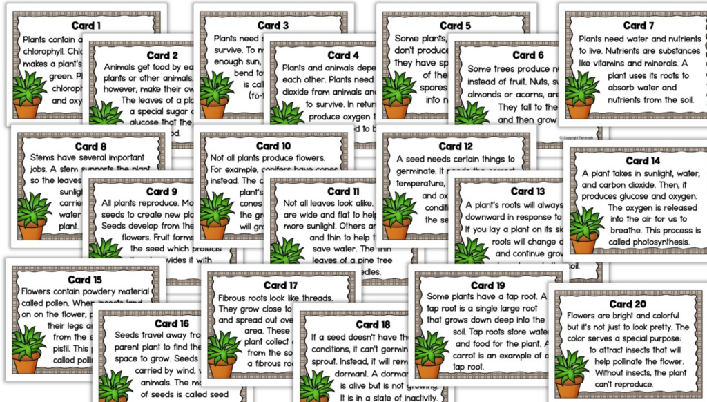 Plants & Plant Structure Activity Scavenger Hunt - Made By Teachers