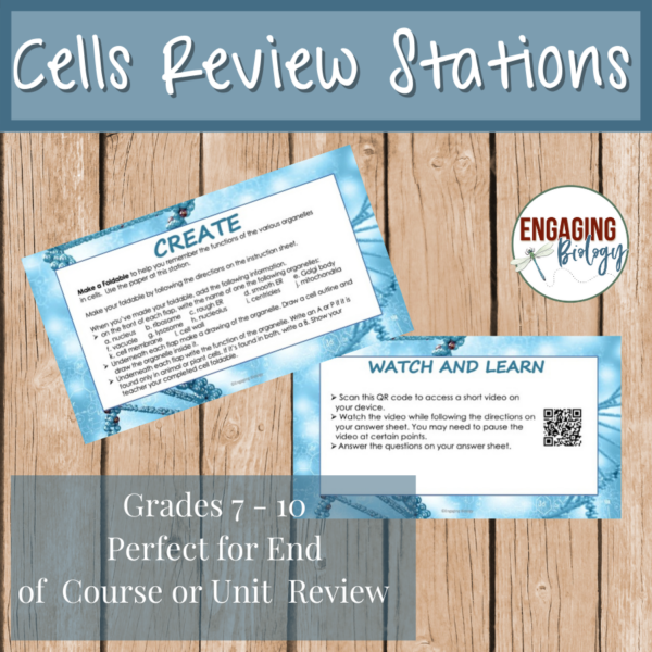Cells Review Stations | Made By Teachers