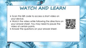 Cells Review Stations - Made By Teachers