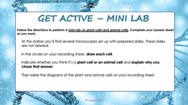 Cells Review Stations - Made By Teachers