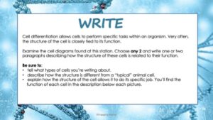 Cells Review Stations - Made By Teachers