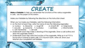Cells Review Stations - Made By Teachers
