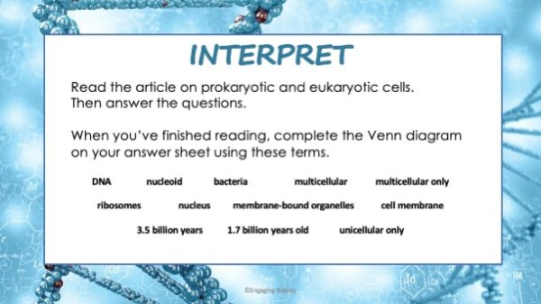 Cells Review Stations - Made By Teachers