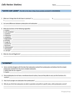 Cells Review Stations - Made By Teachers