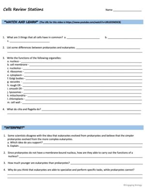 Cells Review Stations - Made By Teachers