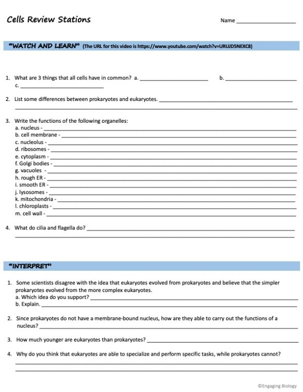Cells Review Stations - Made By Teachers