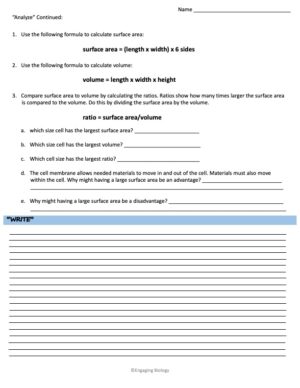 Cells Review Stations - Made By Teachers