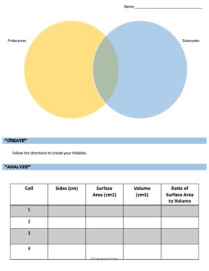 Cells Review Stations - Made By Teachers