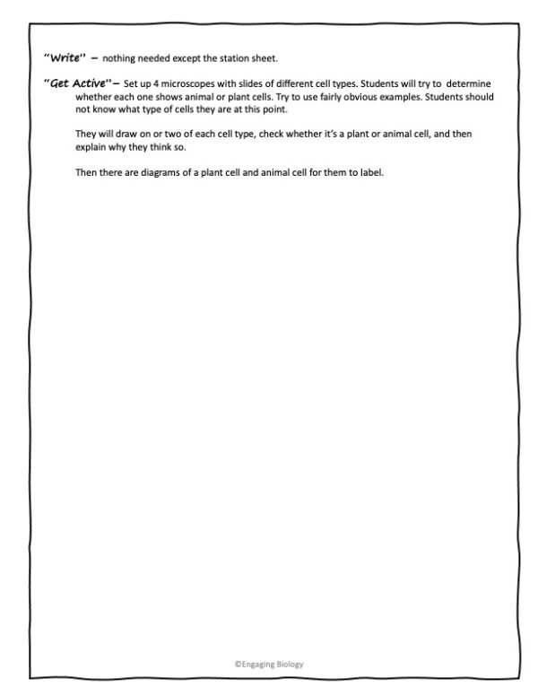 Cells Review Stations - Made By Teachers