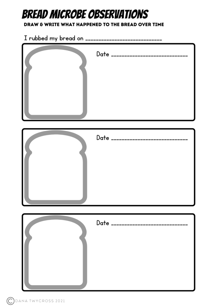 Small Science: Germs & Microbes | Made By Teachers