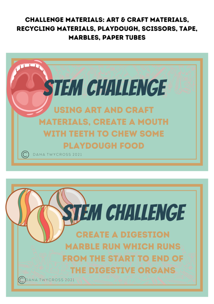 Small Science: Digestion | Made By Teachers