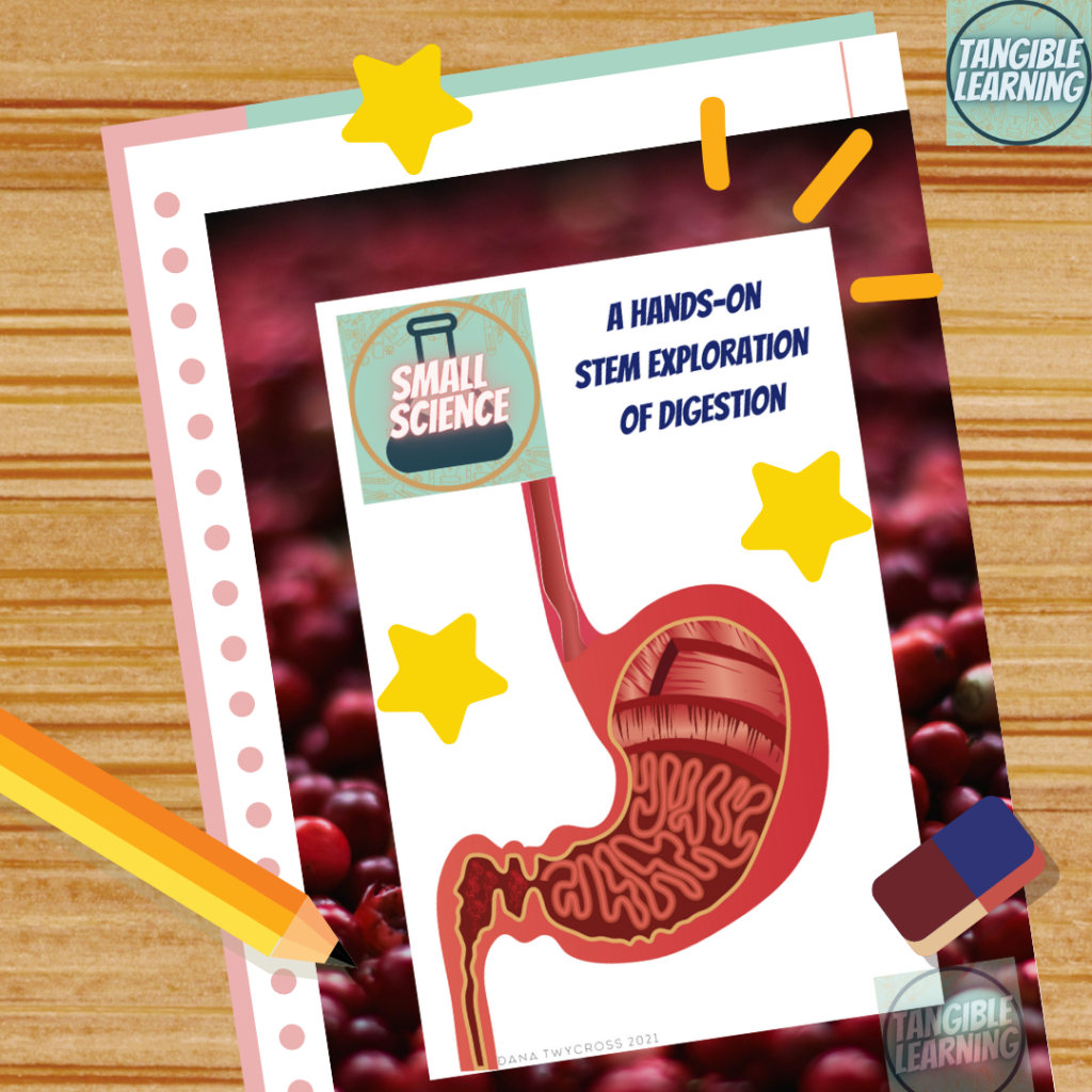 Small Science: Digestion | Made By Teachers