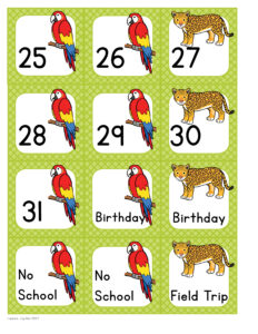 Calendar Number Cards Rainforest Animals Theme | Made By Teachers
