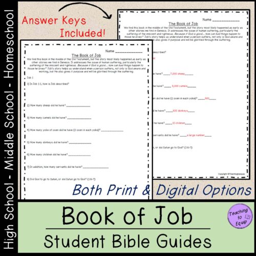 Bible Study Questions for the book of Job | Made By Teachers
