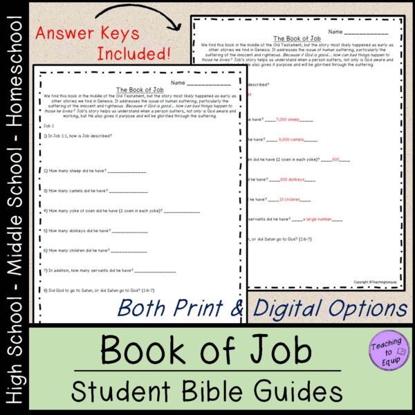 Bible Study Questions for the book of Job | Made By Teachers
