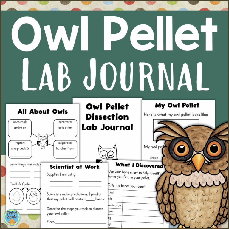 Owl Pellet Dissection Lab Journal OWLS Science Investigation | Made By ...