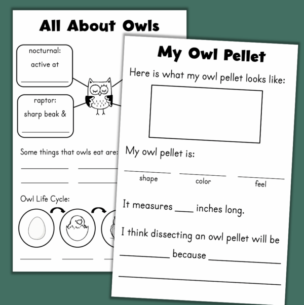 Owl Pellet Dissection Lab Journal OWLS Science Investigation | Made By ...
