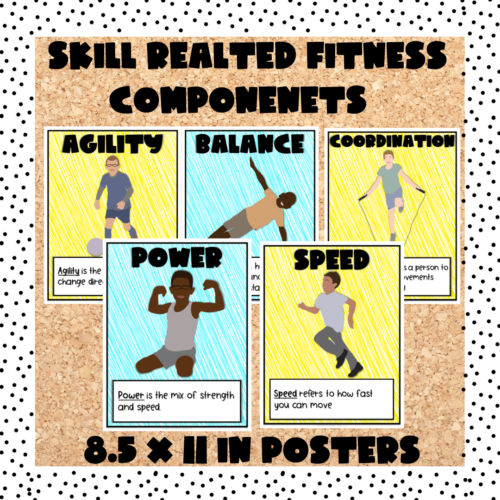 Skill Related Fitness Components Bulletin Board - Made By Teachers
