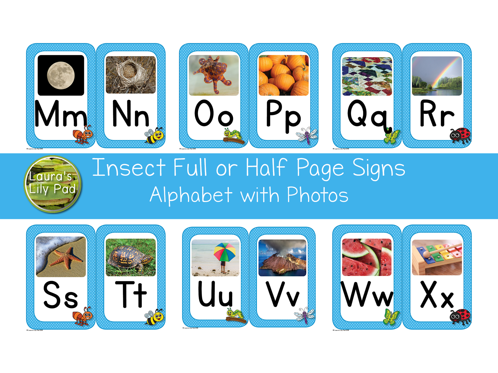 Insect Alphabet Signs - Made By Teachers