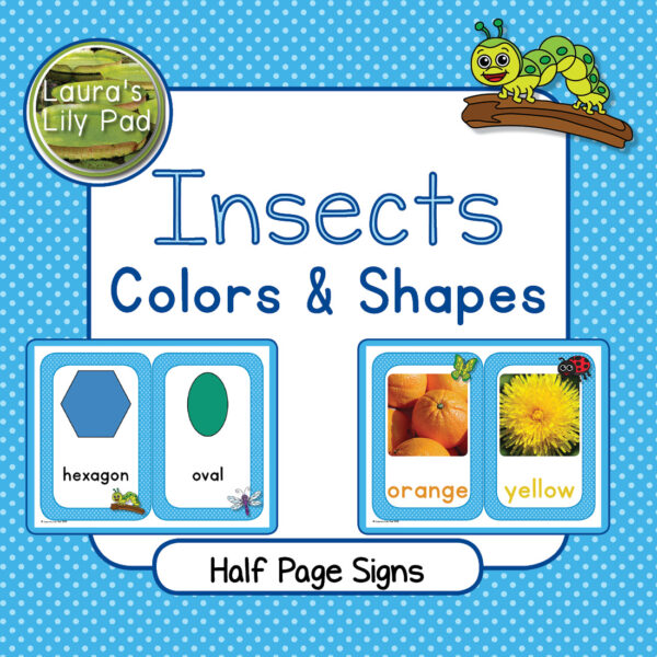 Insects Colors and Shapes Signs - Made By Teachers