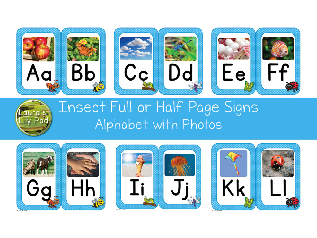 Insect Theme Decor Bundle - Made By Teachers