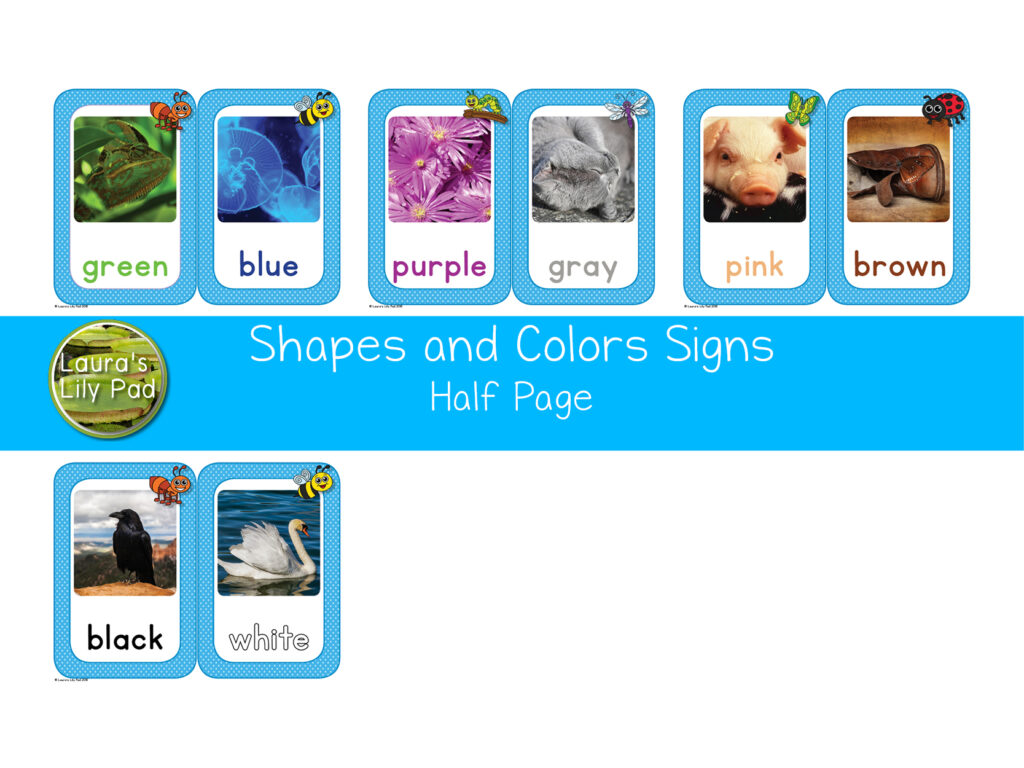 Insect Theme Decor Bundle - Made By Teachers