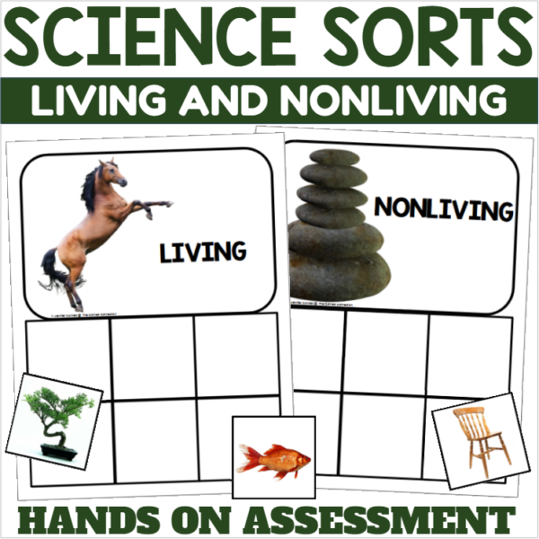 Living and Nonliving Things Sorting Activity - Made By Teachers