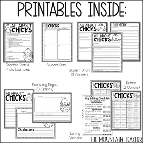 All About Chicks Informative Craft | Spring Writing Prompt and Bulletin ...