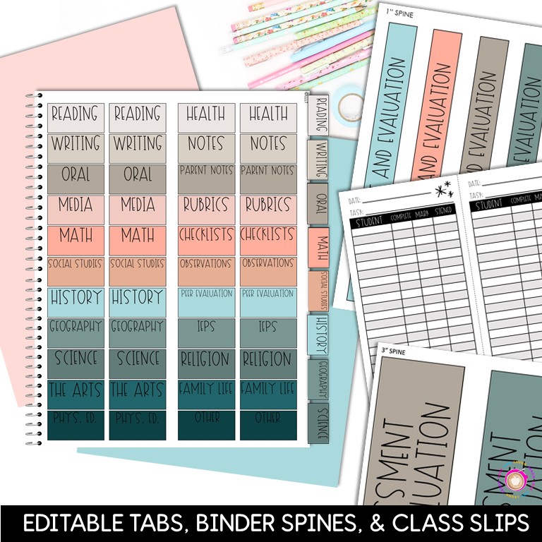 Editable Assessment & Evaluation Tacking Sheets | Records & Checklist ...