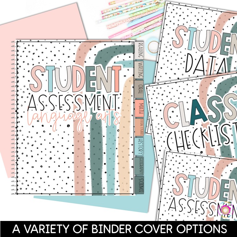 Editable Assessment & Evaluation Tacking Sheets | Records & Checklist ...