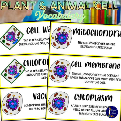 Plant and Animal Cell Vocabulary Word Wall - Made By Teachers