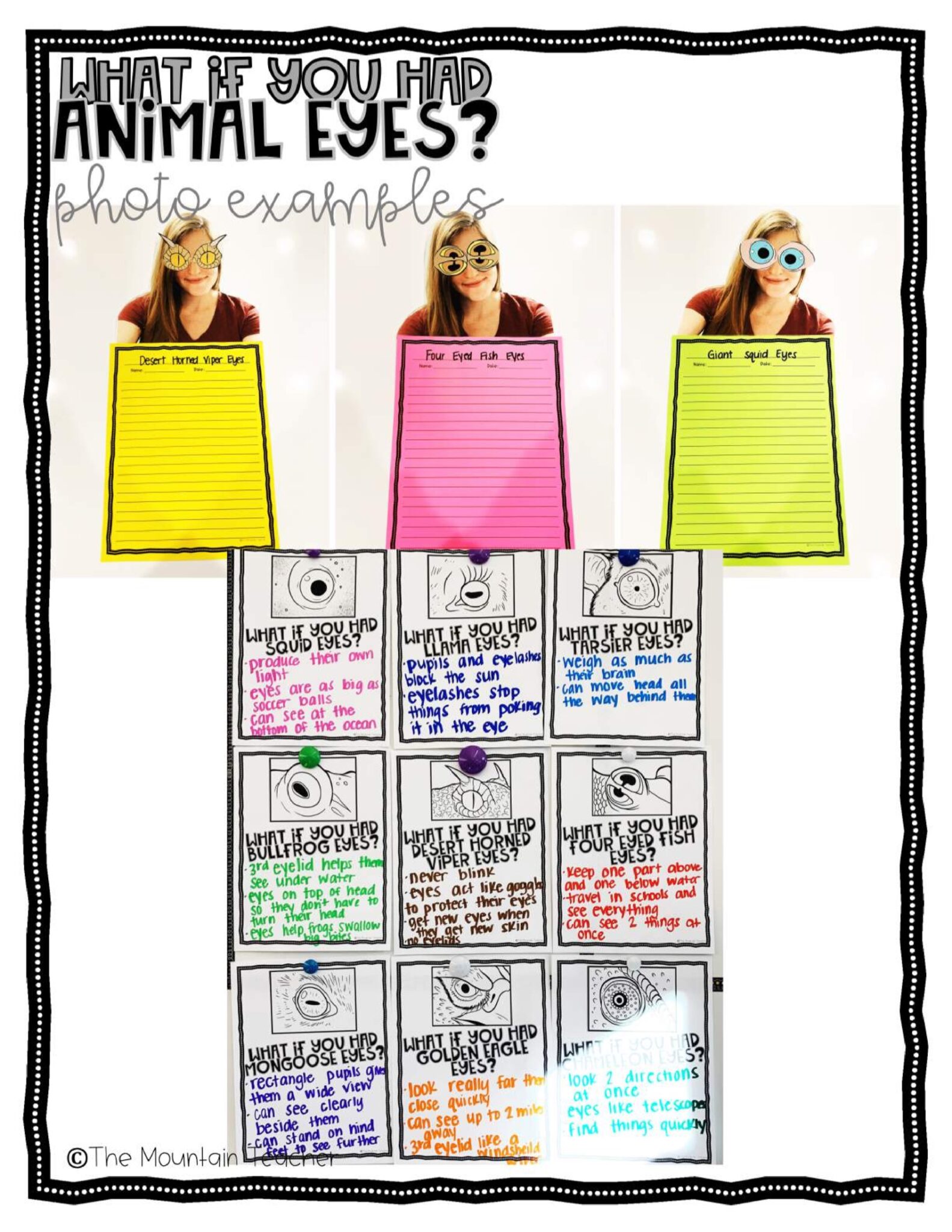 What If You Had Animal Eyes Writing Activity | Animal Adaptation ...