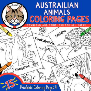 Australian Animal Coloring Pages - Made By Teachers