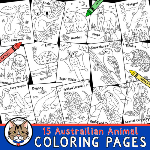 Australian Animal Coloring Pages | Made By Teachers