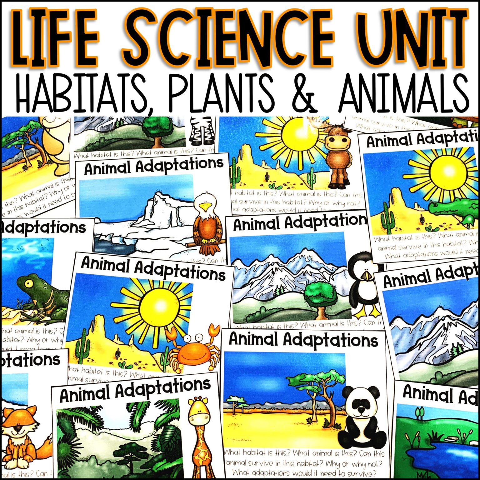 Life Science Unit | Animal Worksheets and Habitat Activities | Made By ...
