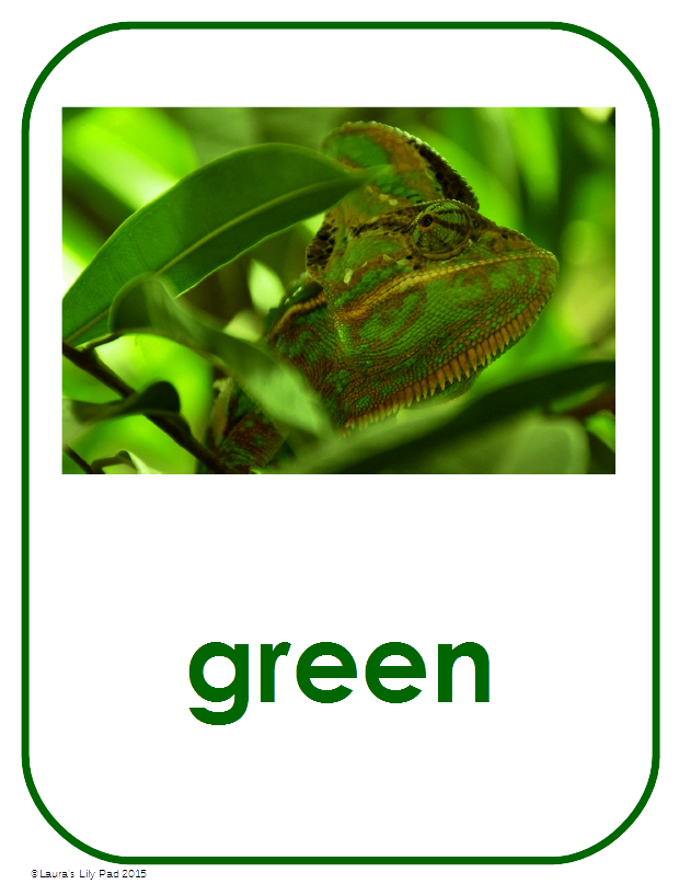 Colors Posters with Photographs - Made By Teachers