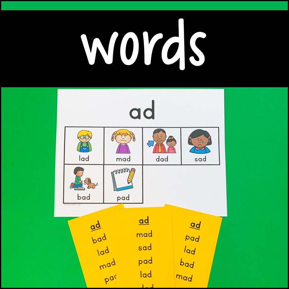 CVC Word Reading Fluency for ad Word Family | Made By Teachers